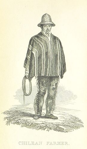 William Stevenson (1787 — 1830), United Kingdom of Great Bri explorer ...